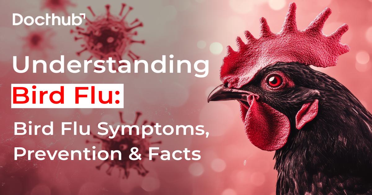 Understanding Bird Flu: Bird Flu Symptoms, Prevention & Fact