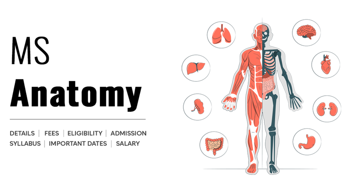 MS Anatomy Detail, Exams, Admission, Syllabus, Fees, Available colleges
