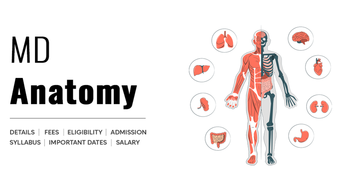 MD Anatomy Detail, Exams, Admission, Syllabus, Fees, Available colleges