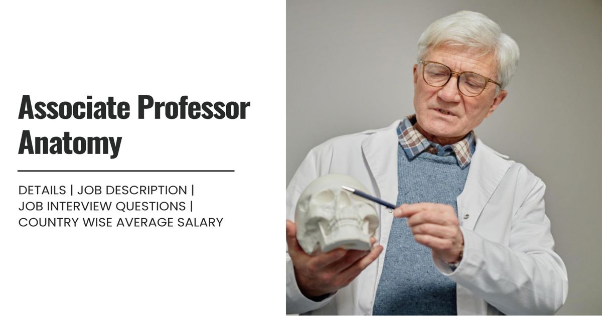 Associate Professor Anatomy Definition,Roles,Job Details, Skills ...