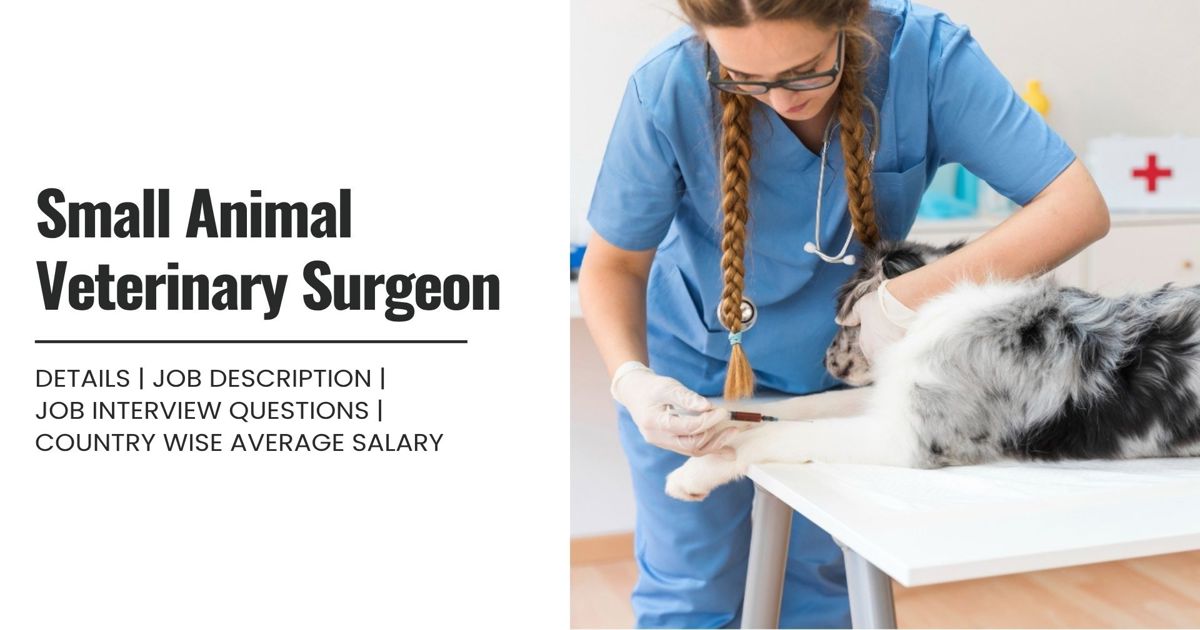 Small Animal Veterinary Surgeon Definition,Roles,Job Details, Skills ...